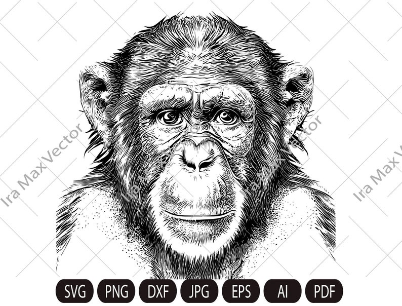 MONKEY Face Svg / Monkey Head Svg / Monkey Svg / Monkey King - Etsy