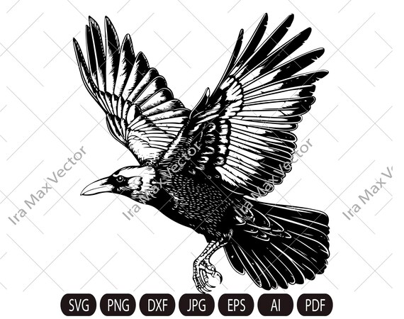 Vliegende Raaf Clipart Zwarte Grunge Borstel Raaf Silhouet Geïsoleerd