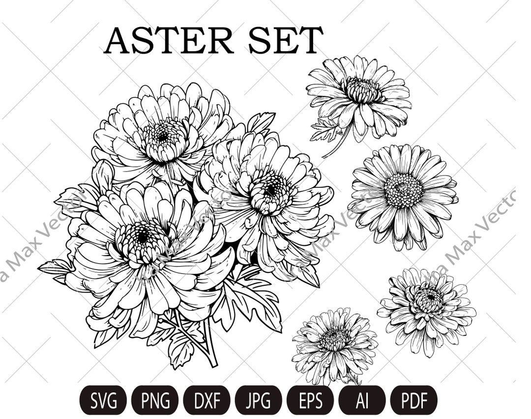 Aster Flowers Svg, Garden Flower SVG, Floral SVG, Svg Files, Flower Png ...