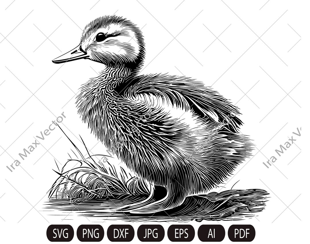 Baby Duck Svg, Duckling Svg, Duckling Instant Download, Duckling Cut ...