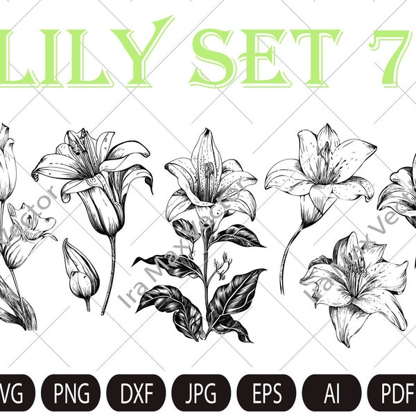 Lily Svg - Etsy