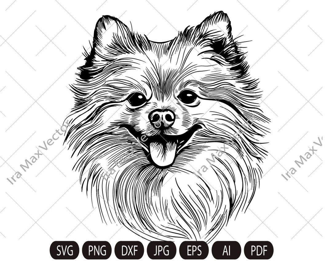 Pomeranian Spitz Dog Svg,spitz Clip Art, Smiling Dog Vector Graphic Art ...