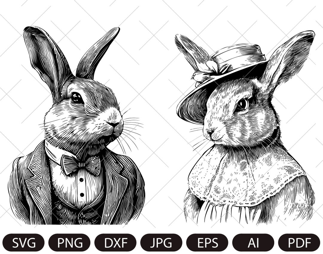 Bunny Clipart Svg, a Pair of Rabbits in Clothes, Dapper Bunny, Lady ...
