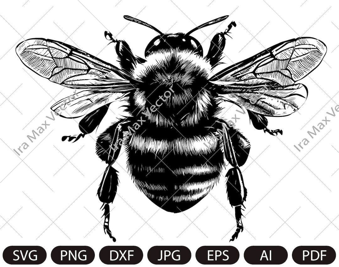 Bumblebee Svg ,honey Bee , Bumble Bee Svg Png Jpg ,bumblebee Clip Art ...
