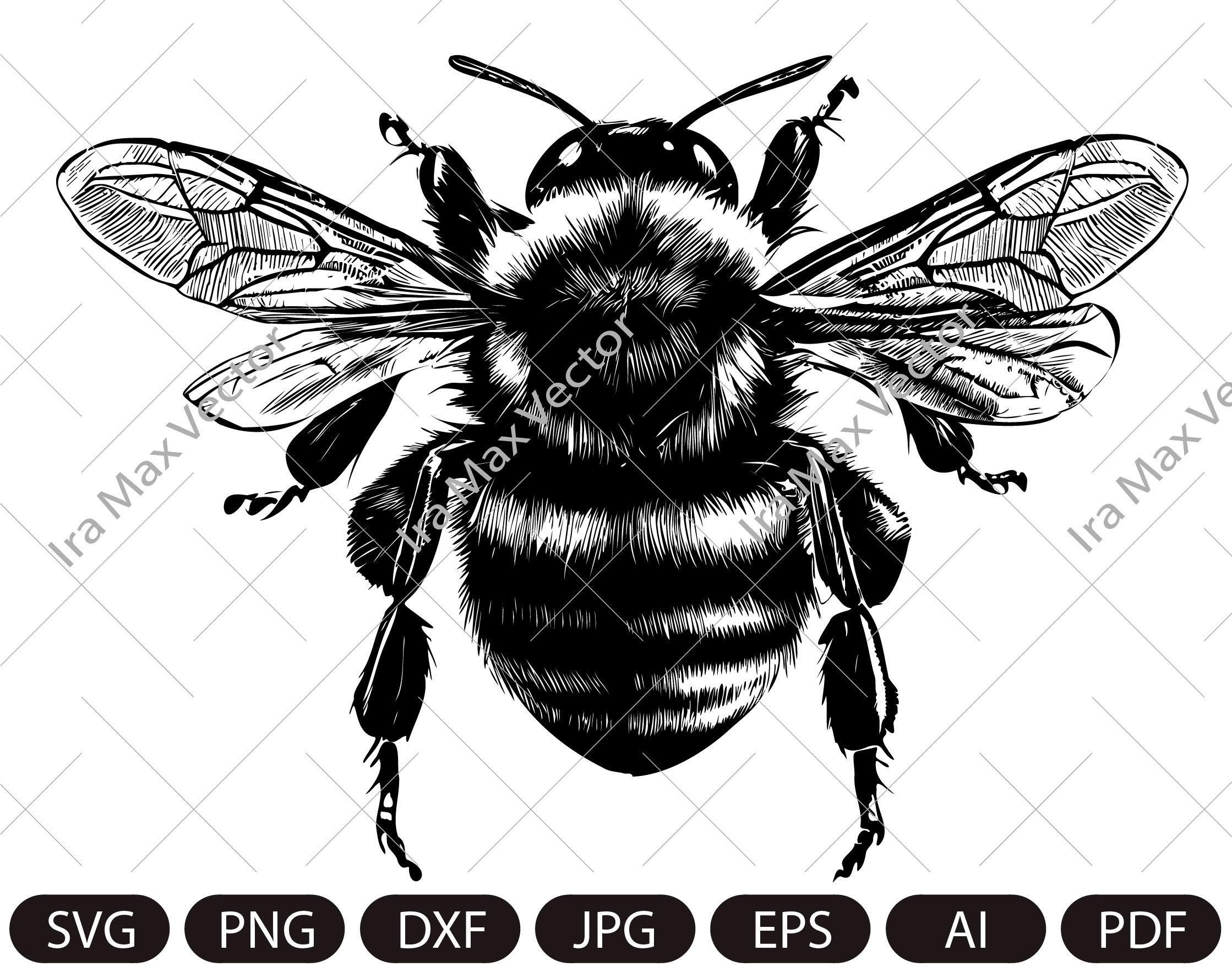 Bumblebee Svg honey Bee Bumble Bee Svg Png Jpg bumblebee - Etsy UK