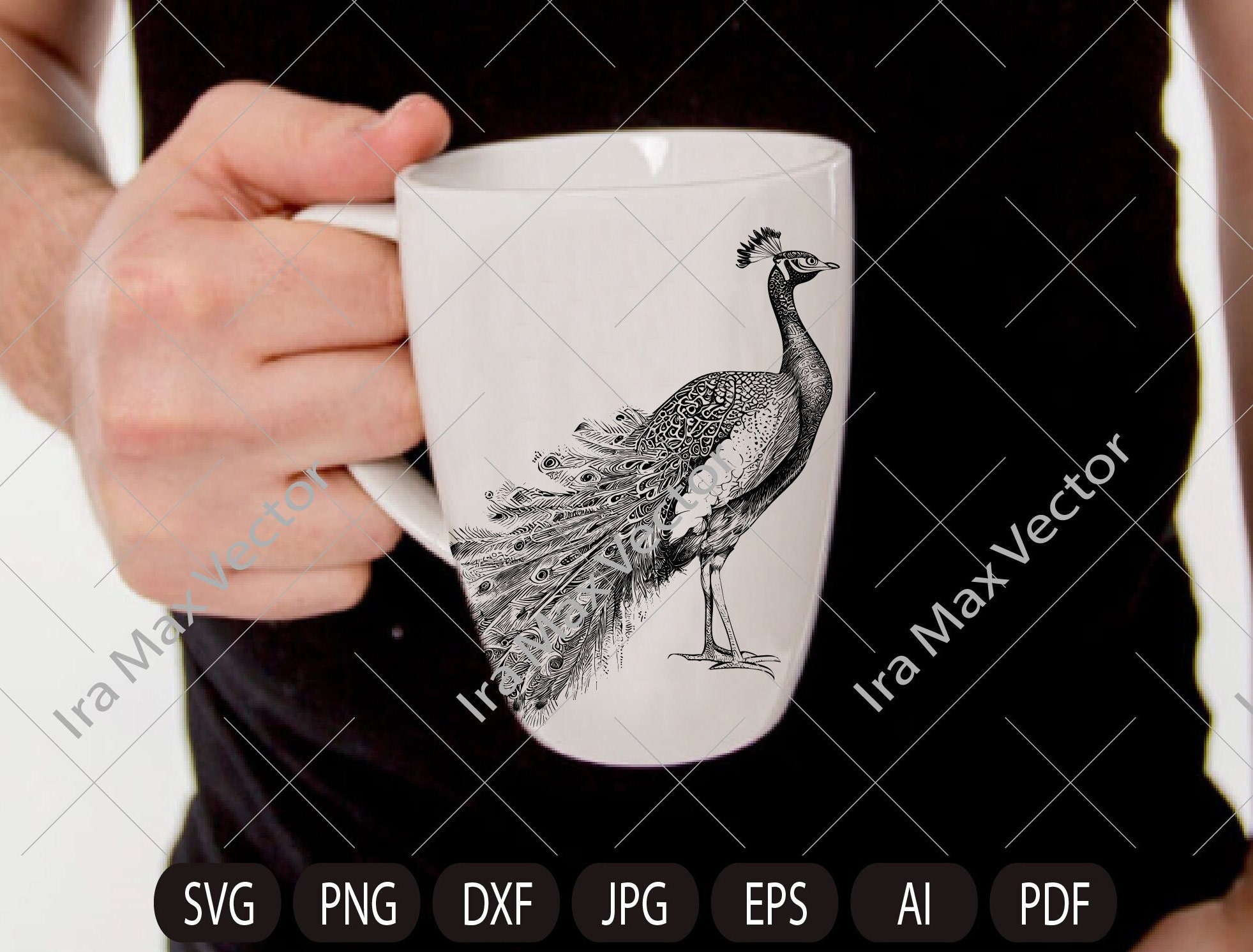 Peacock Svg Peacock Detailed Peacock Clipart Peacock Png - Etsy