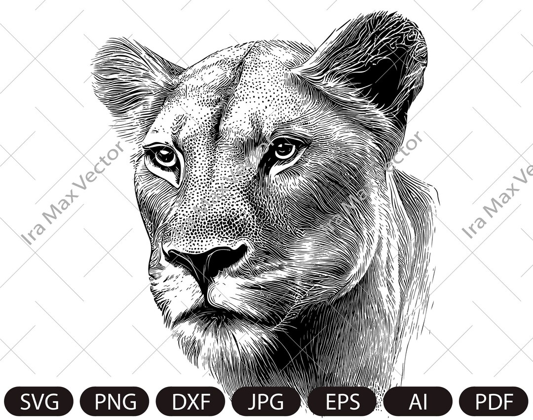 Lioness Head SVG Lioness Face Svg Lion Face Svg Wild Cat - Etsy