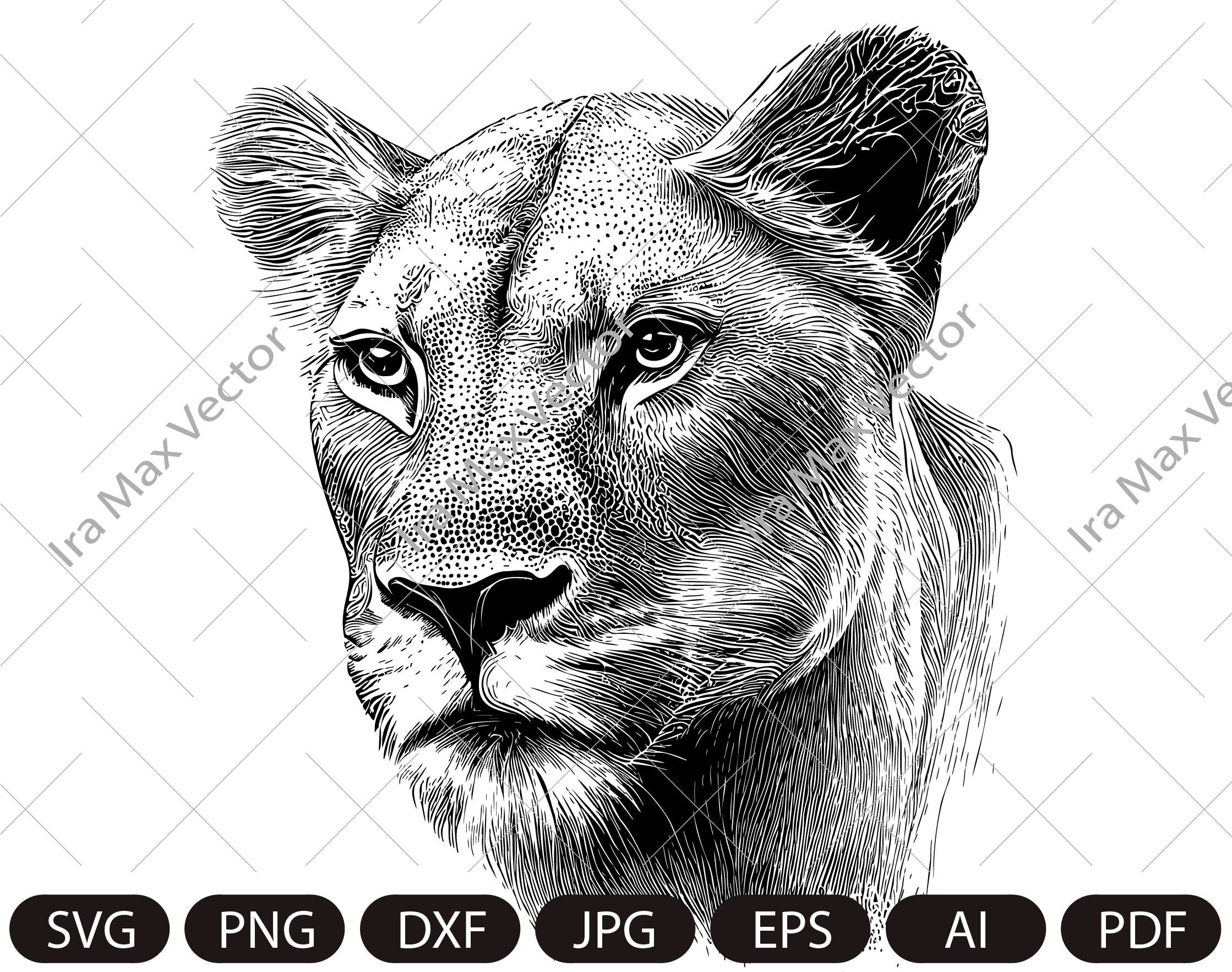 Lioness Head SVG Lioness Face Svg Lion Face Svg Wild Cat - Etsy