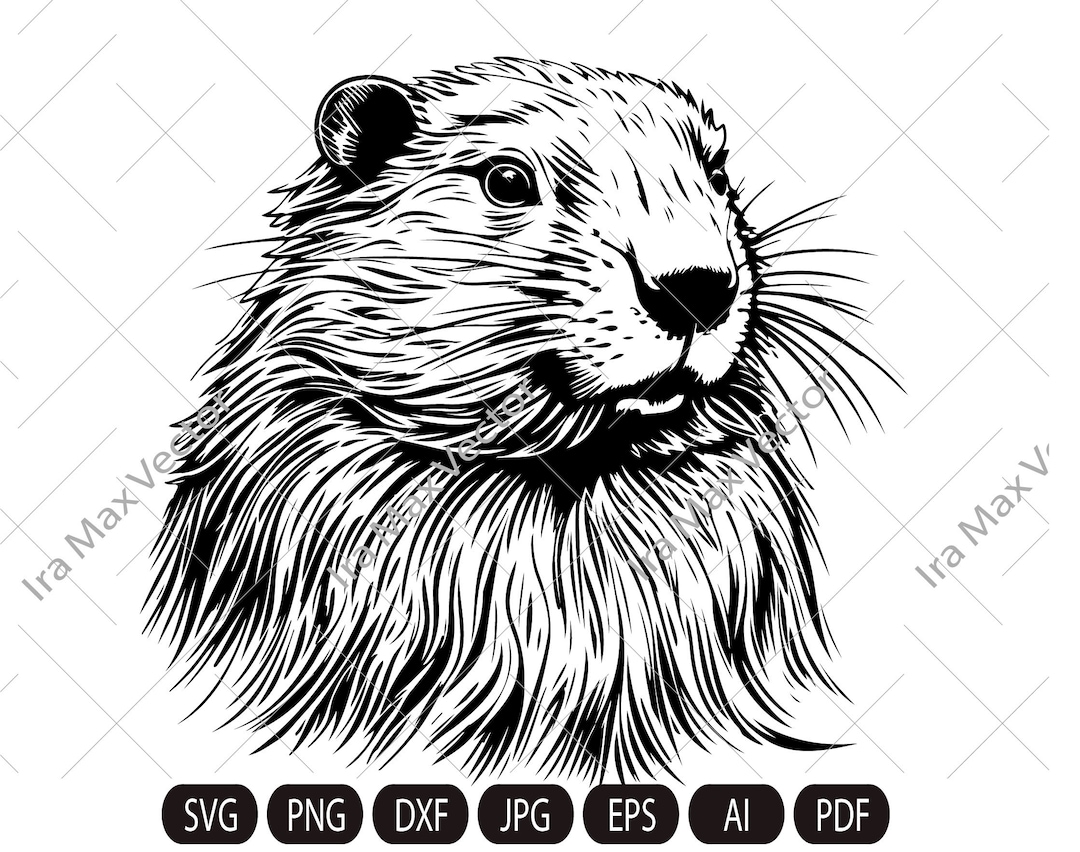 Happy Beaver Svg, Cute Beaver Svg, Beaver Svg, Smiling Beaver Svg ...