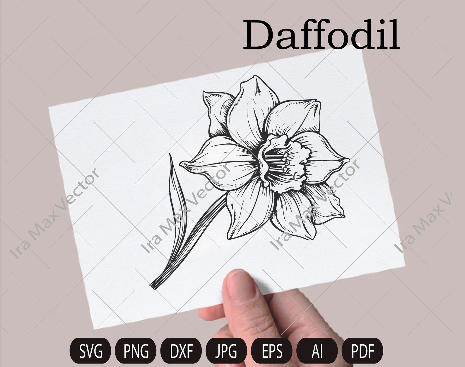 Daffodils Svg, Daffodil Flowers Svg, Daffodils Bouquet Svg, Birth ...
