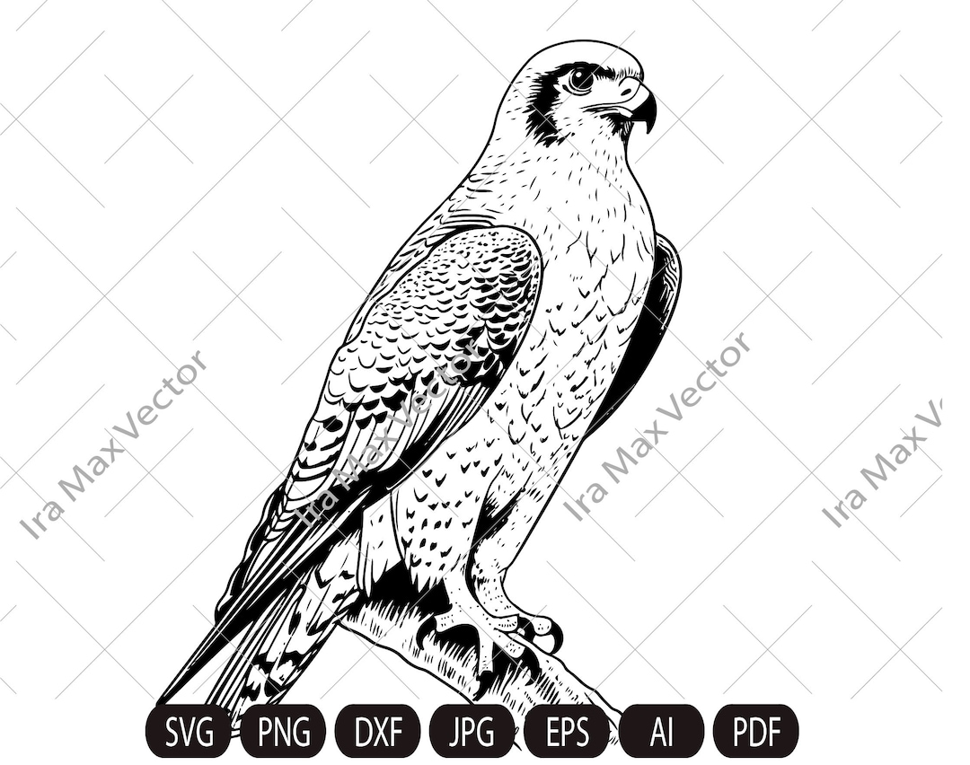 Falcon Svg, Falcon Clipart, Falcon Png, Falcon Head, Falcon Cut Files ...