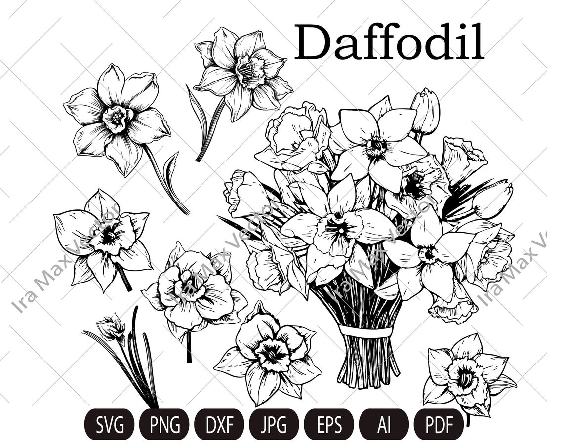 Daffodils Svg, Daffodil Flowers Svg, Daffodils Bouquet Svg, Birth ...