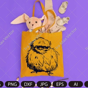 Silkie Hen,angry Birds, Silk Rooster,silkie Bird ,FUNNY SILKIE HEN ...