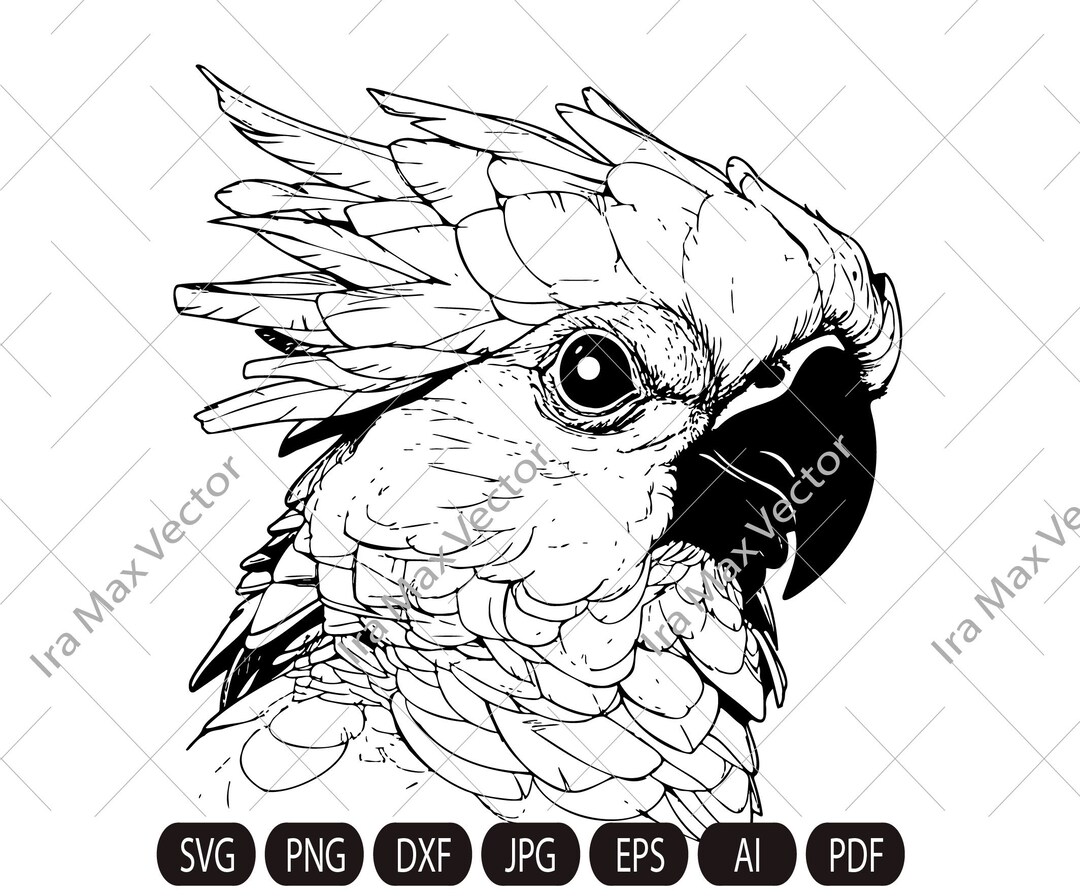 Cockatoo Svg File, Cockatoo Head, Cockatoo Parrot, Cockatoo Cut File ...