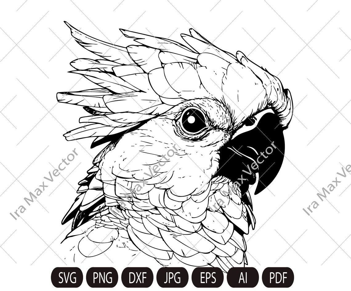 Cockatoo Svg File, Cockatoo Head, Cockatoo Parrot, Cockatoo Cut File ...