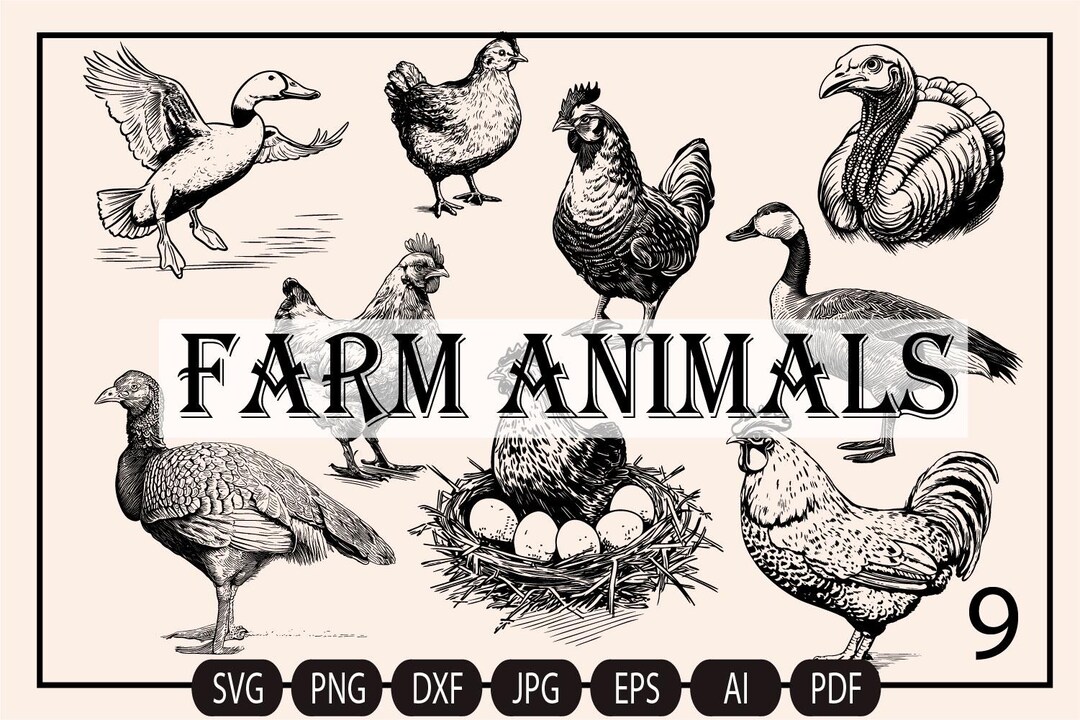 Birds on the Farm 9 Arts, Farm Animals, Poultry, Farm Dxf, Livestock ...