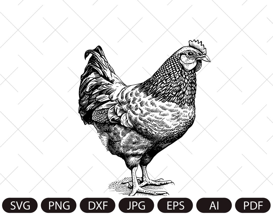 Farm Hen SVG. Hen Vector. Bird Chicken, Farm Animal Vintage Sketch ...