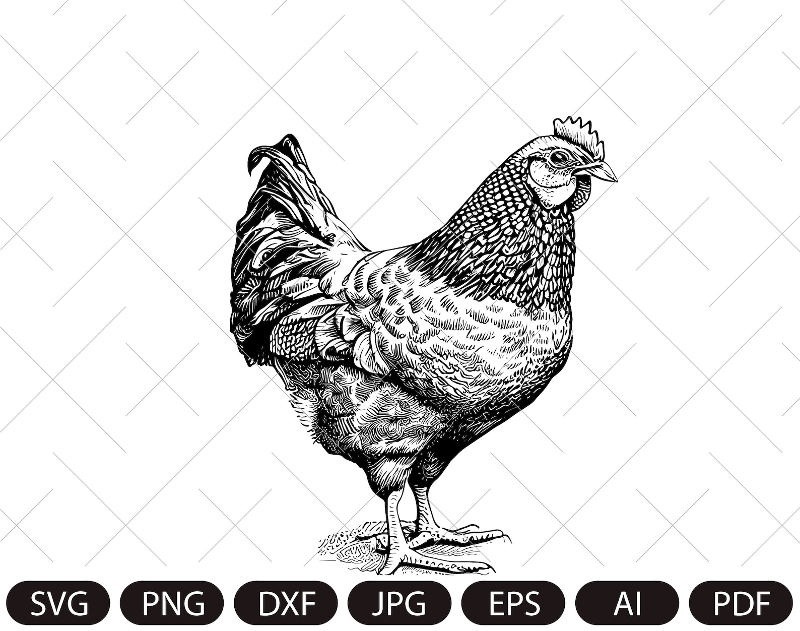 Farm Hen SVG. Hen Vector. Bird Chicken, Farm Animal Vintage Sketch ...