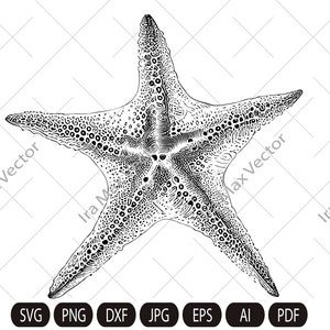 Starfish SVG, Starfish Detailed, Sea Animal SVG, Aquatic SVG, Sea Svg ...