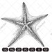 Starfish SVG, Starfish Detailed, Sea Animal SVG, Aquatic SVG, Sea Svg ...