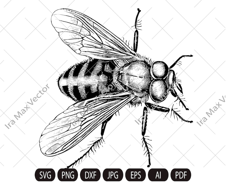 Fly Svg House Fly Svg Insect Svg Fly Clipart Fly Cut File - Etsy