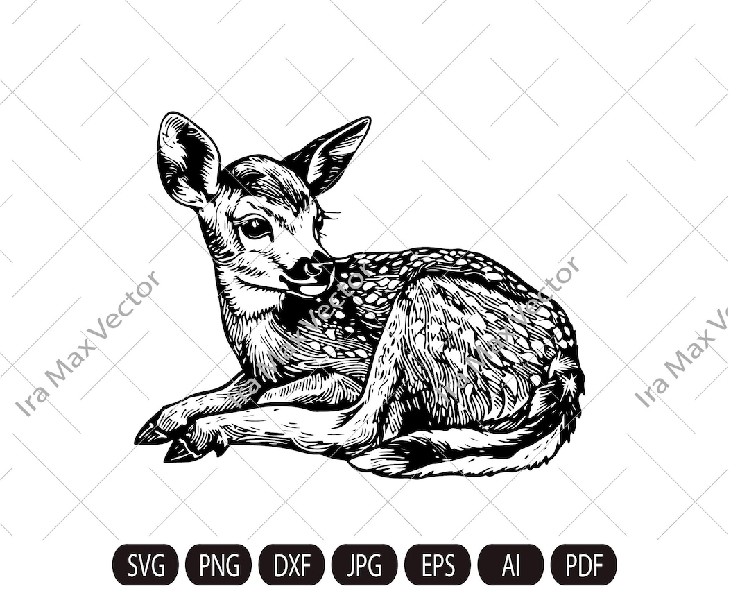 Fawn Svg, Deer Baby Svg,art for Kid,forest Animal,fawn Clip Art,fawn ...