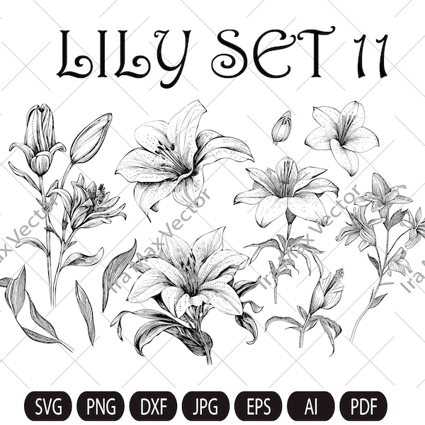 Lily Svg - Etsy