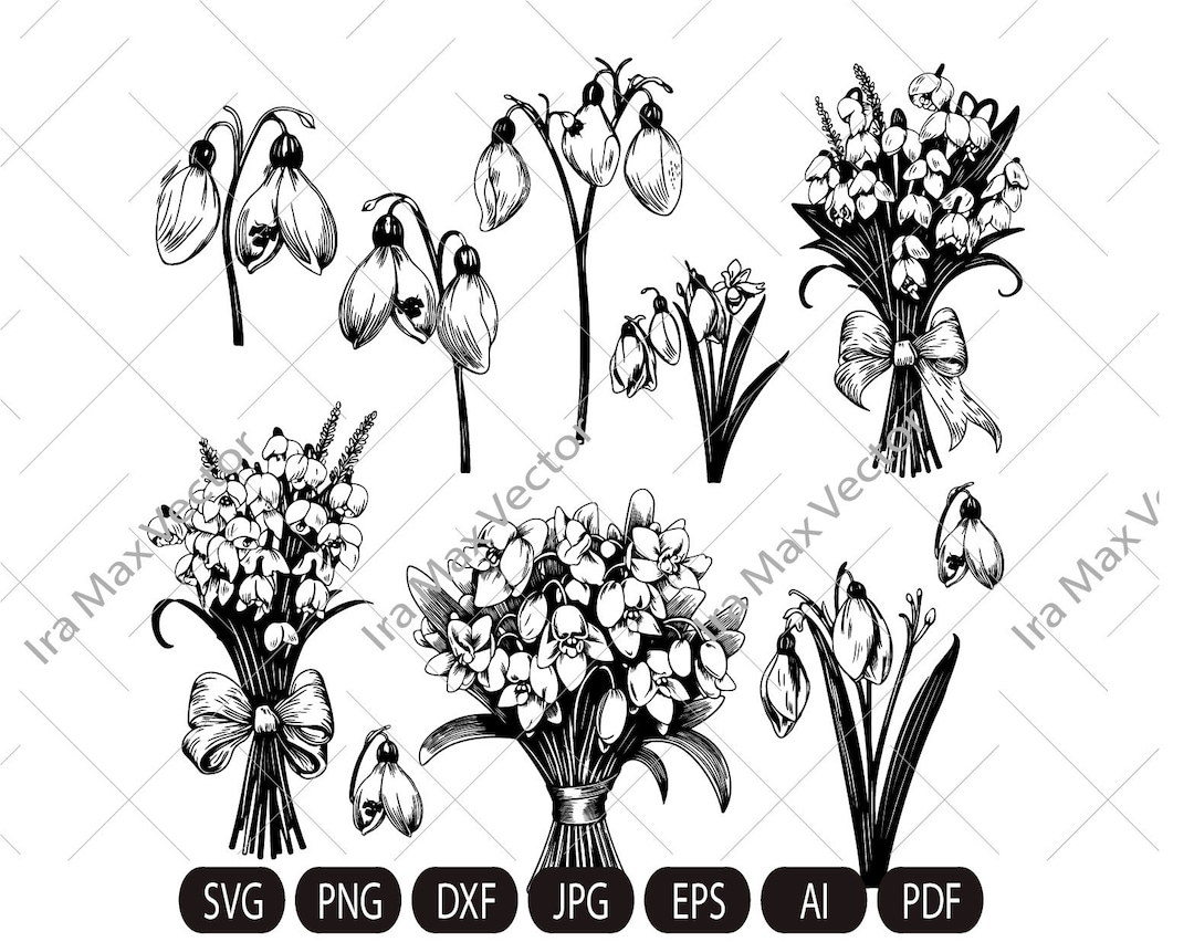 Snowdrop Svg, Snowdrop Flower, Flower Outline Svg, Floral Coloring Page ...