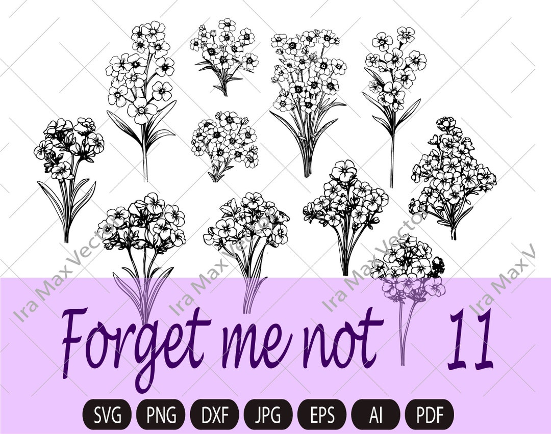 Forget-me-not Flower, Forget-me-not Svg,hand Drawn Floral Illustrations ...