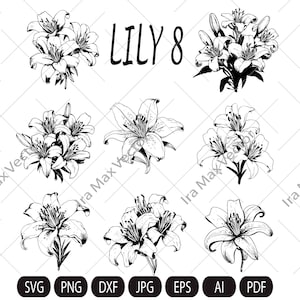 Lily Flower Svg, Lily Svg Bundle, Lily Set Svg, Hand Drawn Lily Svg ...