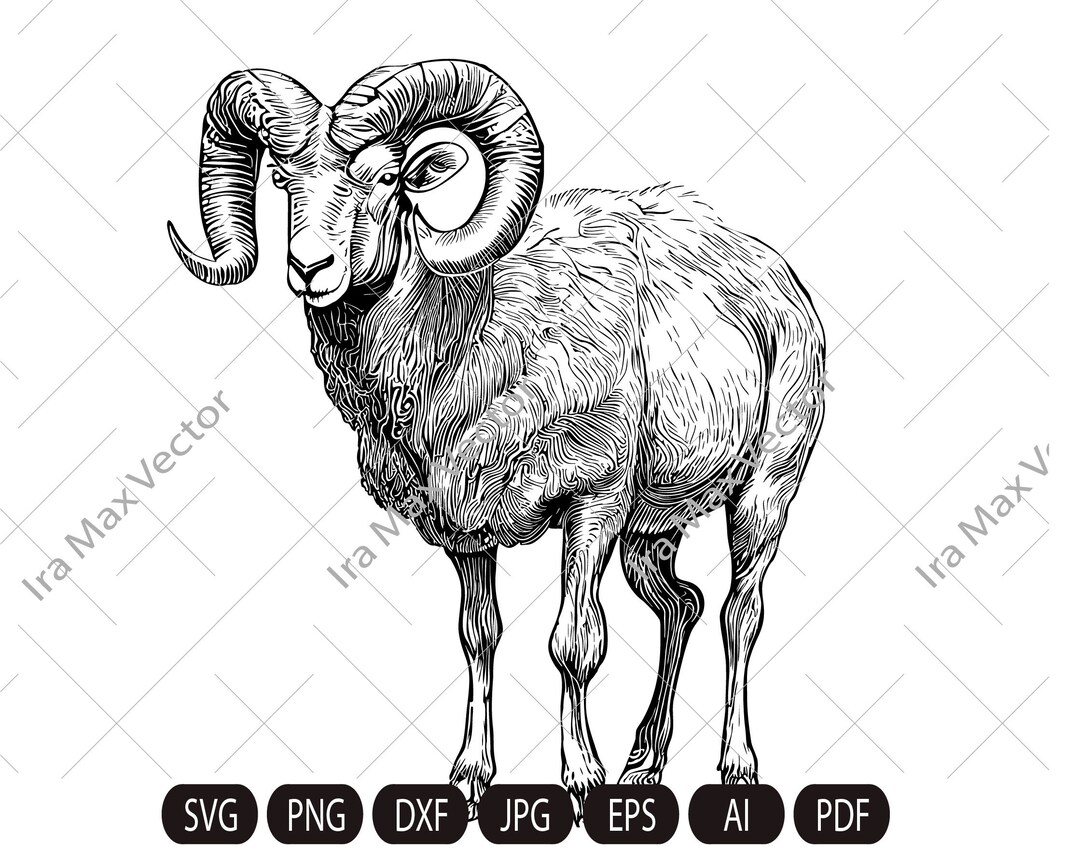 Ram Sheep SVG, Mountain Sheep, Farm Animal Graphics Illustration,ram T ...