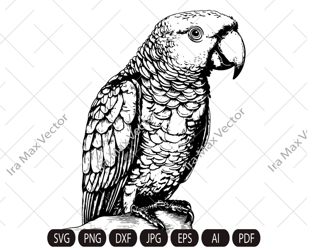 Parrot Svg, Macaw Svg, Exotic Bird Svg, Silhouette Dxf, Bird Clipart ...
