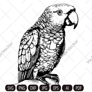 Parrot Svg, Macaw Svg, Exotic Bird Svg, Silhouette Dxf, Bird Clipart ...