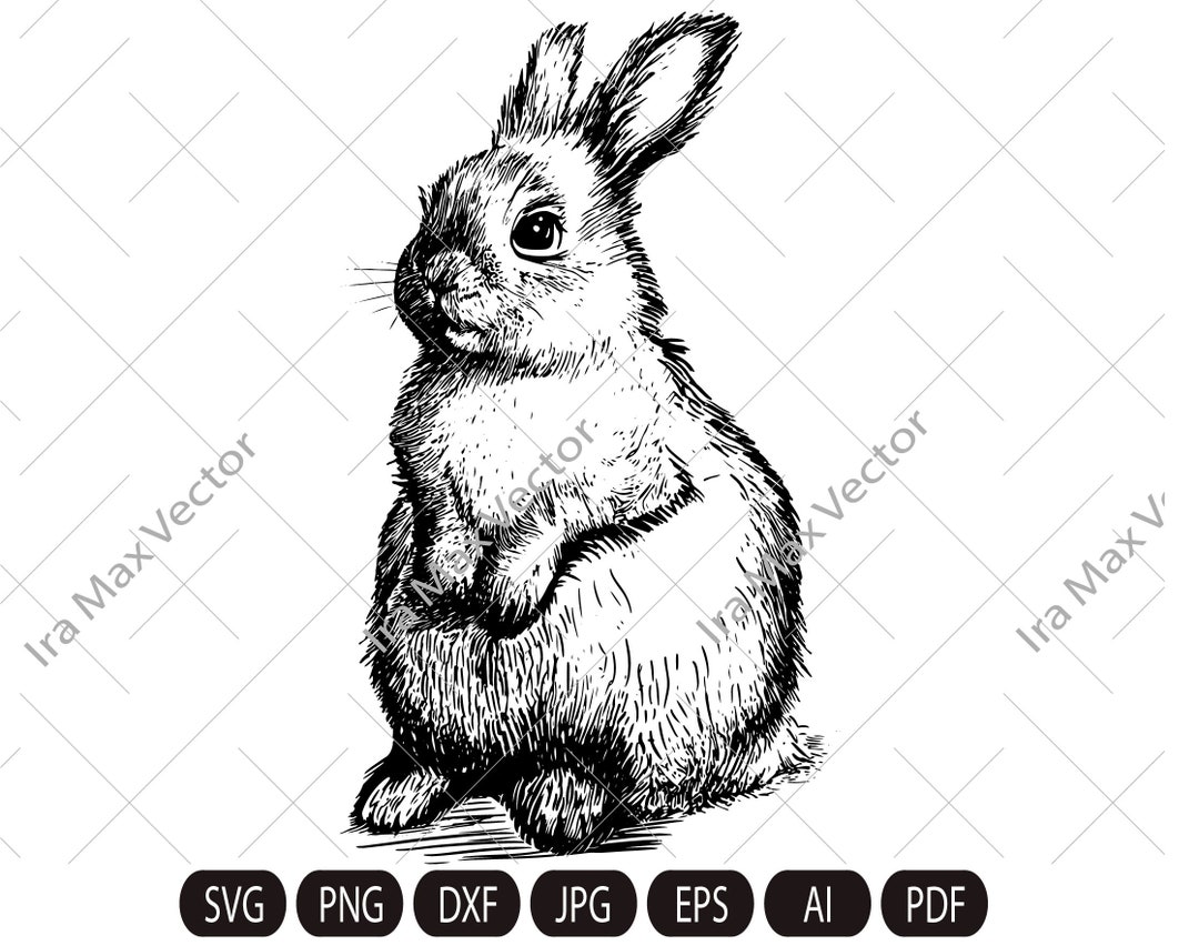 Rabbit SVG, Bunny Standing, Easter , Hunter Svg,rabbit Cut File ...