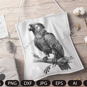 Parrot Svg, Parrot Detailed, Macaw Svg, Exotic Bird Svg, Silhouette Dxf ...