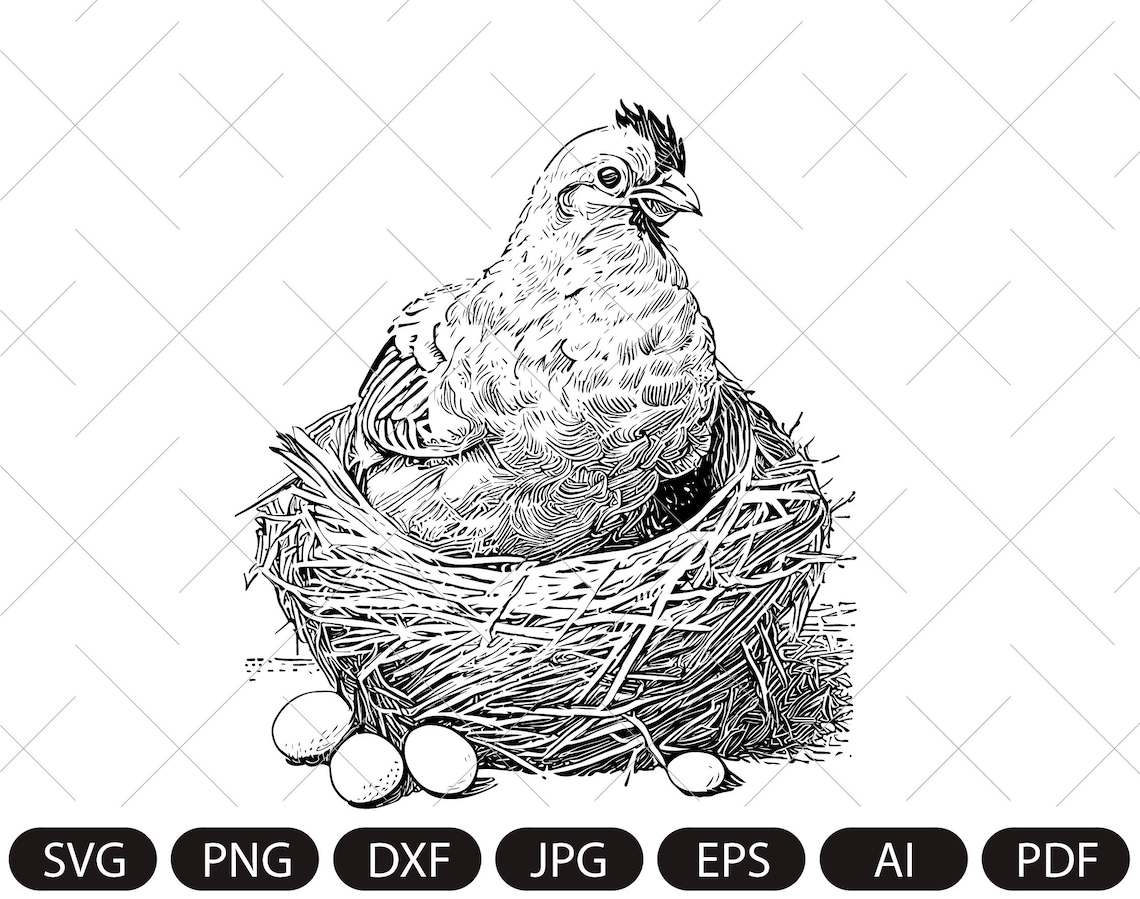 Farm Hen and Eggs Vector. Laying Hen in Nest SVG. Bird Chicken - Etsy