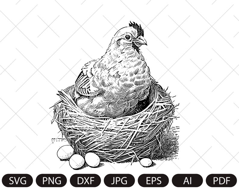 Farm Hen and Eggs Vector. Laying Hen in Nest SVG. Bird Chicken - Etsy