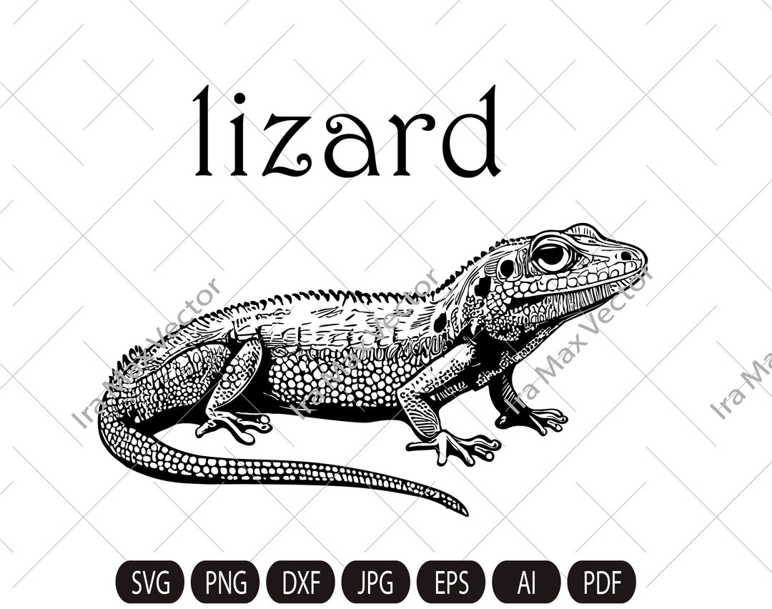 Cute Lizard Svg Lizard Crawling Lizard Face Svg Iguana Face - Etsy