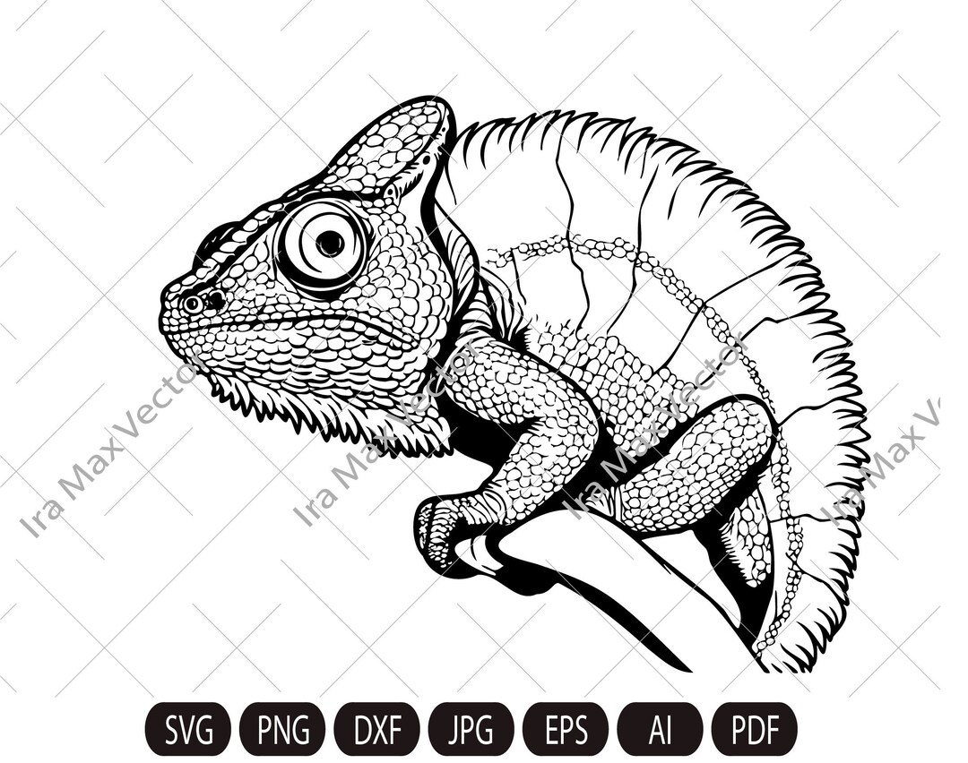 Chameleon SVG / Chamaeleons SVG / Lizard Svg/ Blend Adapt Change Color ...
