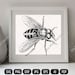 Fly Svg, House Fly Svg, Insect Svg, Fly Clipart, Fly Cut File, Fly ...