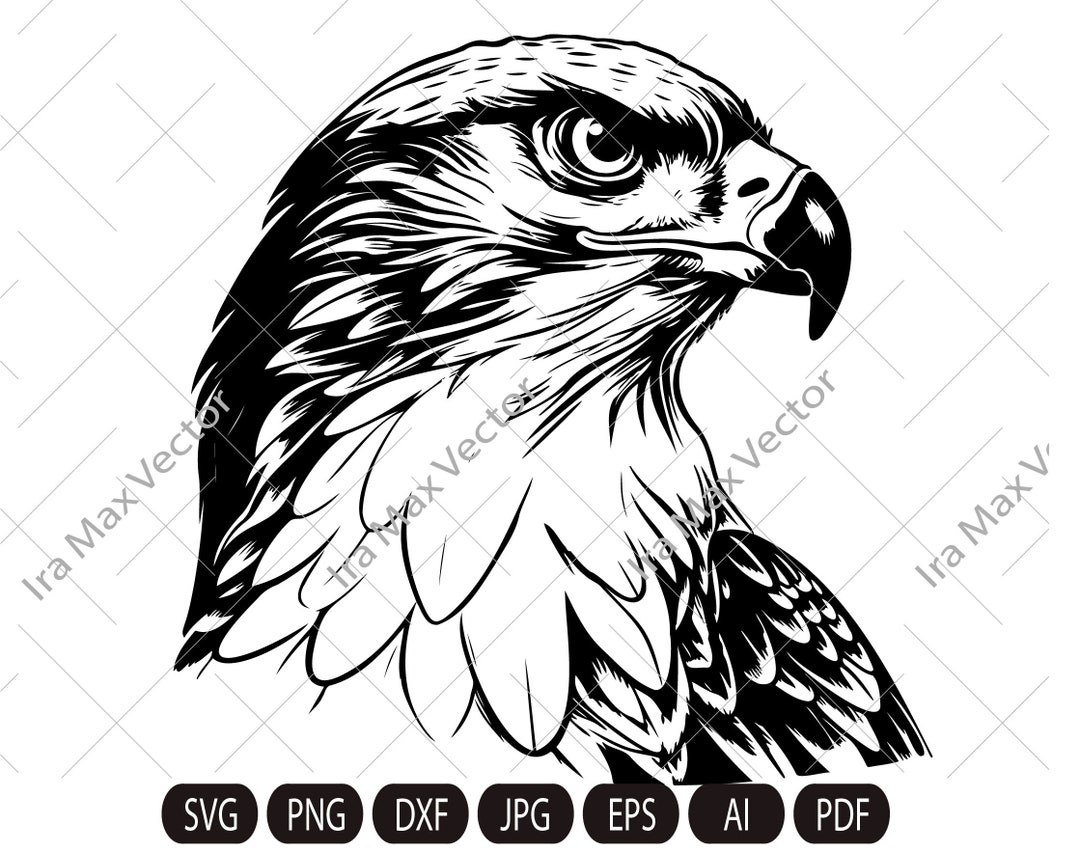 Falcon Svg, Falcon Clipart, Falcon Png, Falcon Head, Falcon Cut Files ...