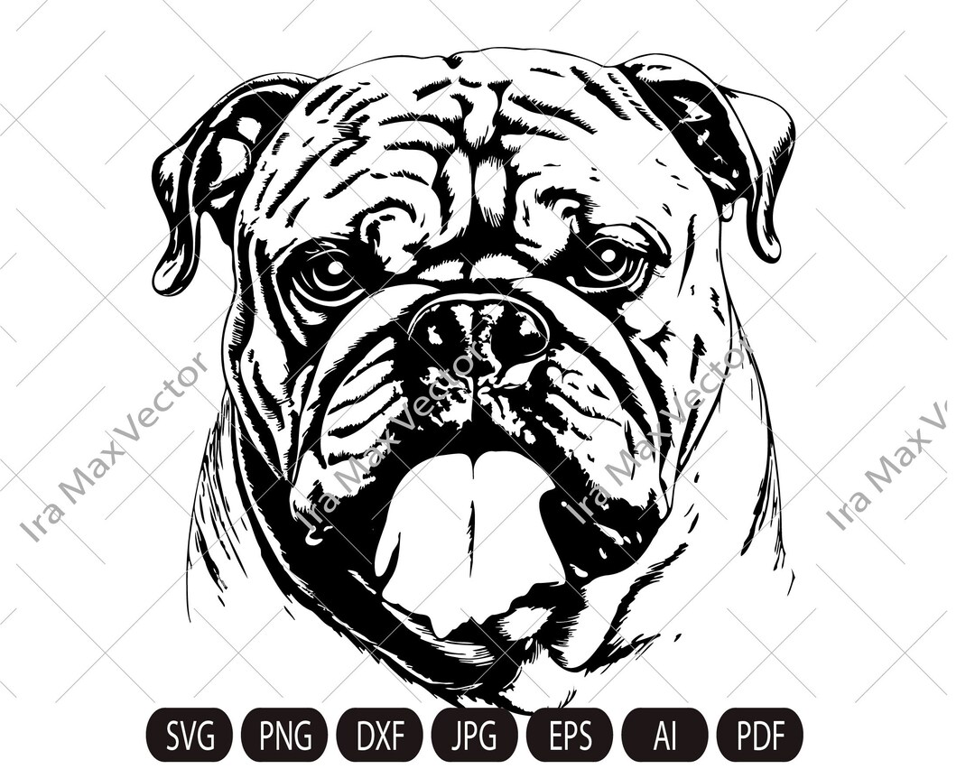 BULLDOG Svg, Bulldog Head, BULLDOG Face Svg, BULLDOG Clipart, Bulldog ...