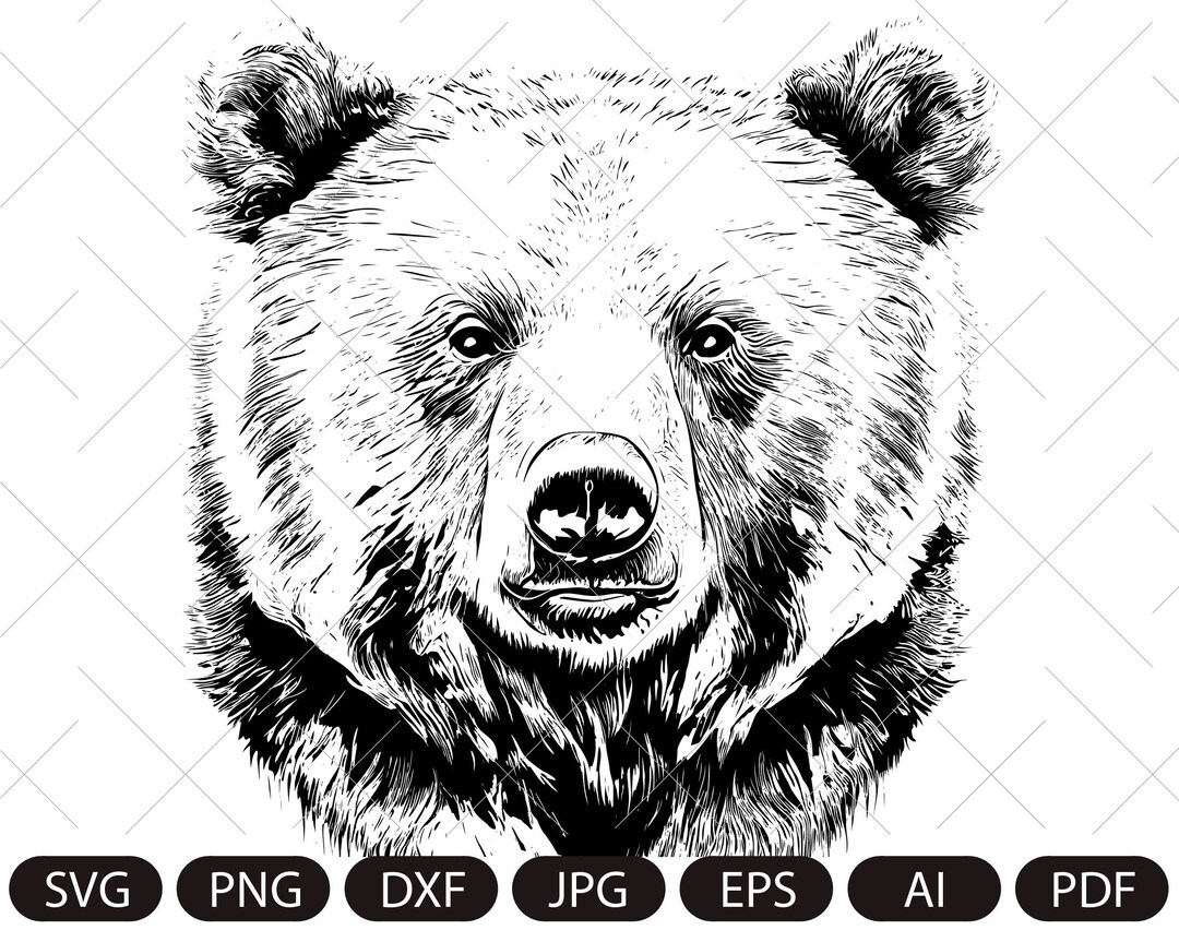 Bear Face SVG, Bear Face Cut File, Bear Face DXF, Bear Face PNG, Bear ...