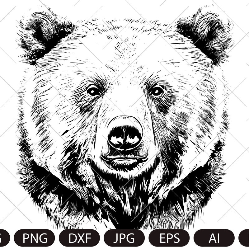 Bear Face Svg - Etsy