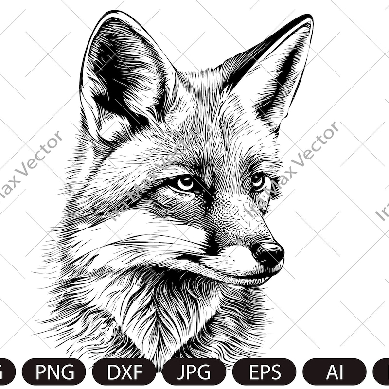 Fox Vector - Etsy
