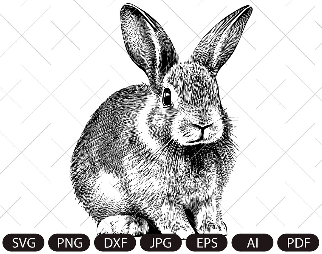 Rabbit SVG, Bunny Monogram, Easter , Hunter Svg, Peeking Animal Clipart ...