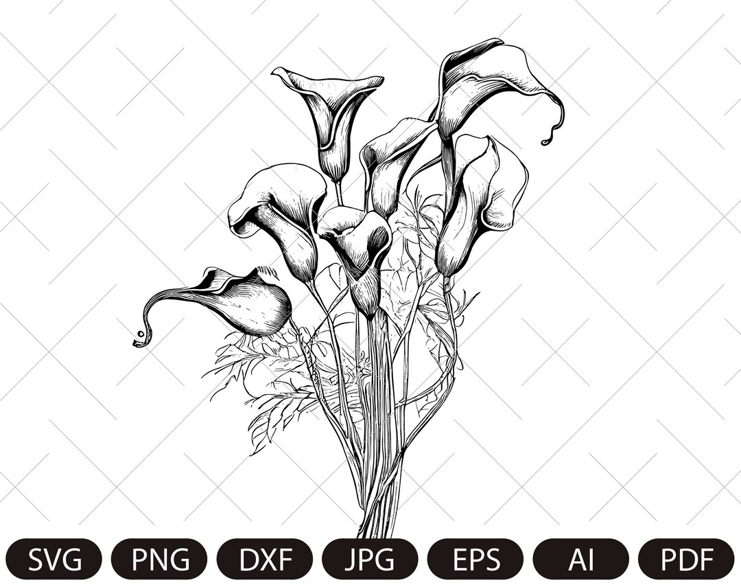 Calla Lily SVG, Callas Flower SVG , Botanical Art PNG, Calla Bouquet ...