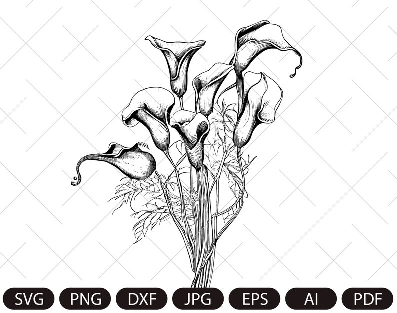 Calla Lily SVG, Callas Flower SVG , Botanical Art PNG, Calla Bouquet ...