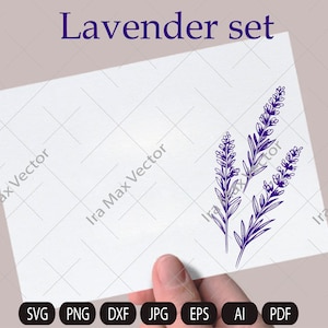 Lavender Svg, Lavender Svg File, Lavender Cut File, Lavender Line ...