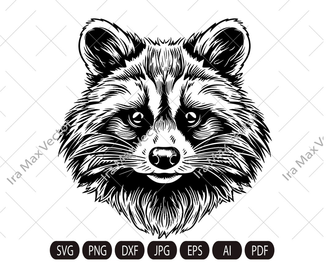 Raccoon Svg, Cute Raccoon Vector, Raccoon Cutfile,raccoon Head Svg ...